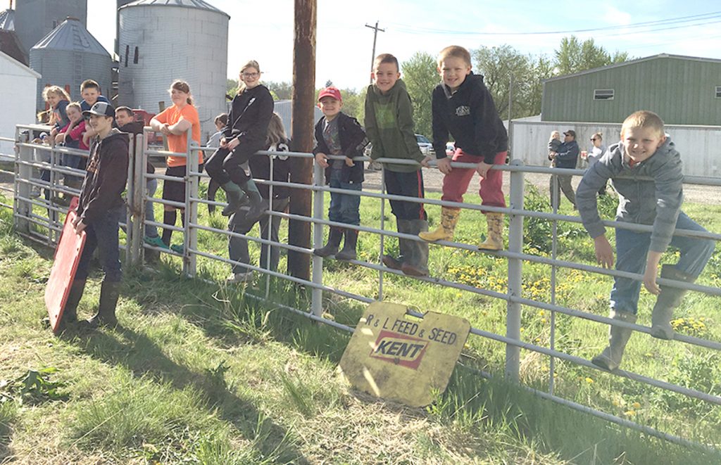 4-H and FFA youth weigh livestock for the 2019 Atchison County Fair ...