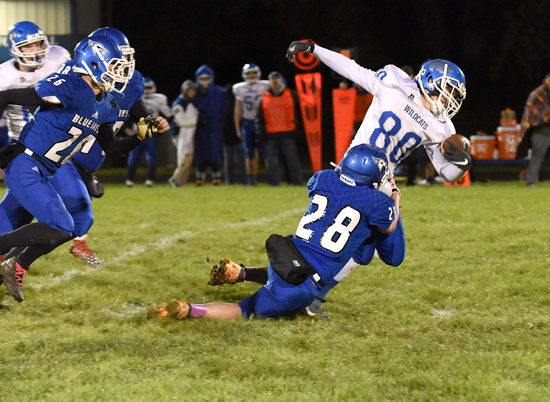 Visitors defeat Blue Jays - Farmer Publishing