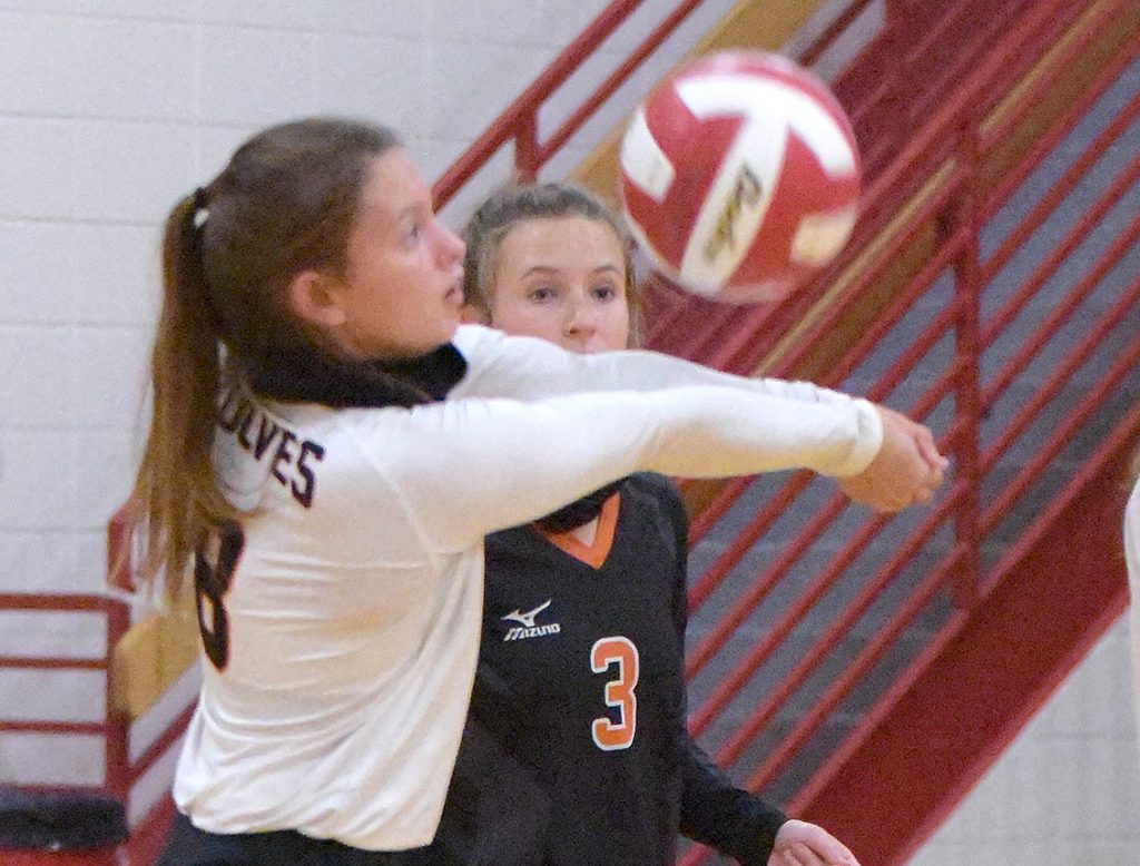 EA Volleyball - Farmer Publishing
