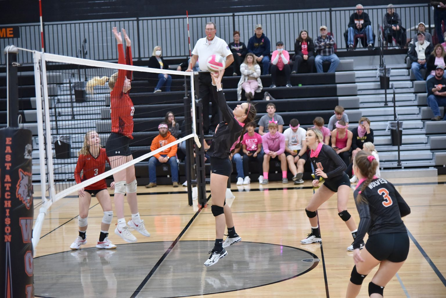 Varsity Lady Wolves win Pink Out volleyball matches - Farmer Publishing
