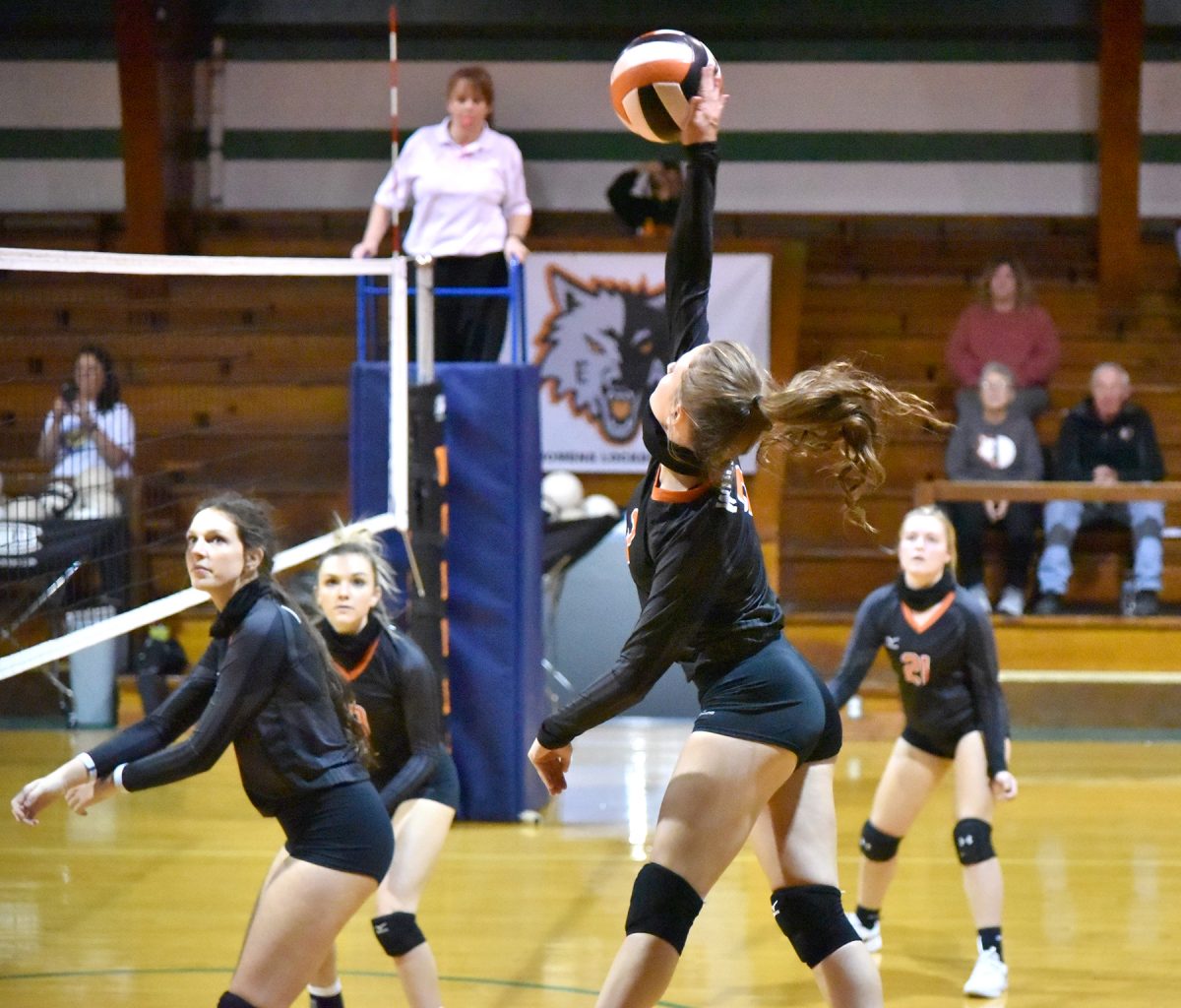 Lady Wolves defeat Union Star at home - Farmer Publishing