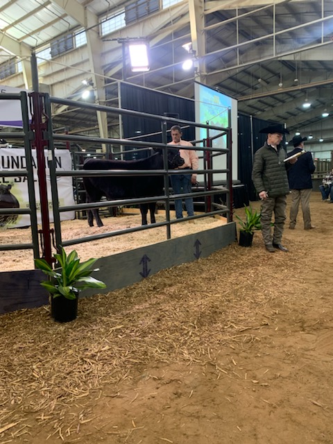 Forest City Angus operation participates in Cattlemen’s Congress ...