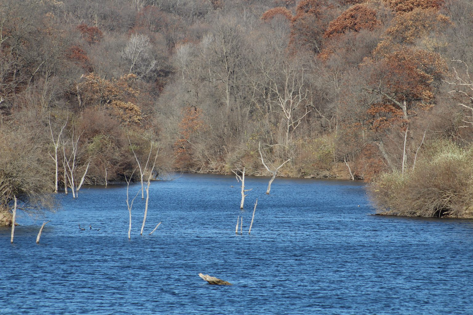Get in touch with nature at Charity Lake and Brickyard Hill ...