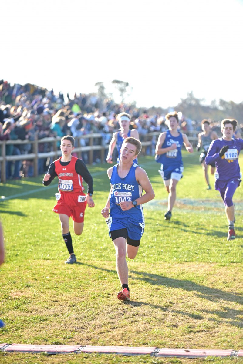 Aubrey Watkins earns MSHSAA State Cross Country medal - Farmer Publishing
