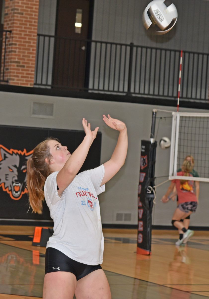 Bearcats hold volleyball camp for Lady Wolves - Farmer Publishing