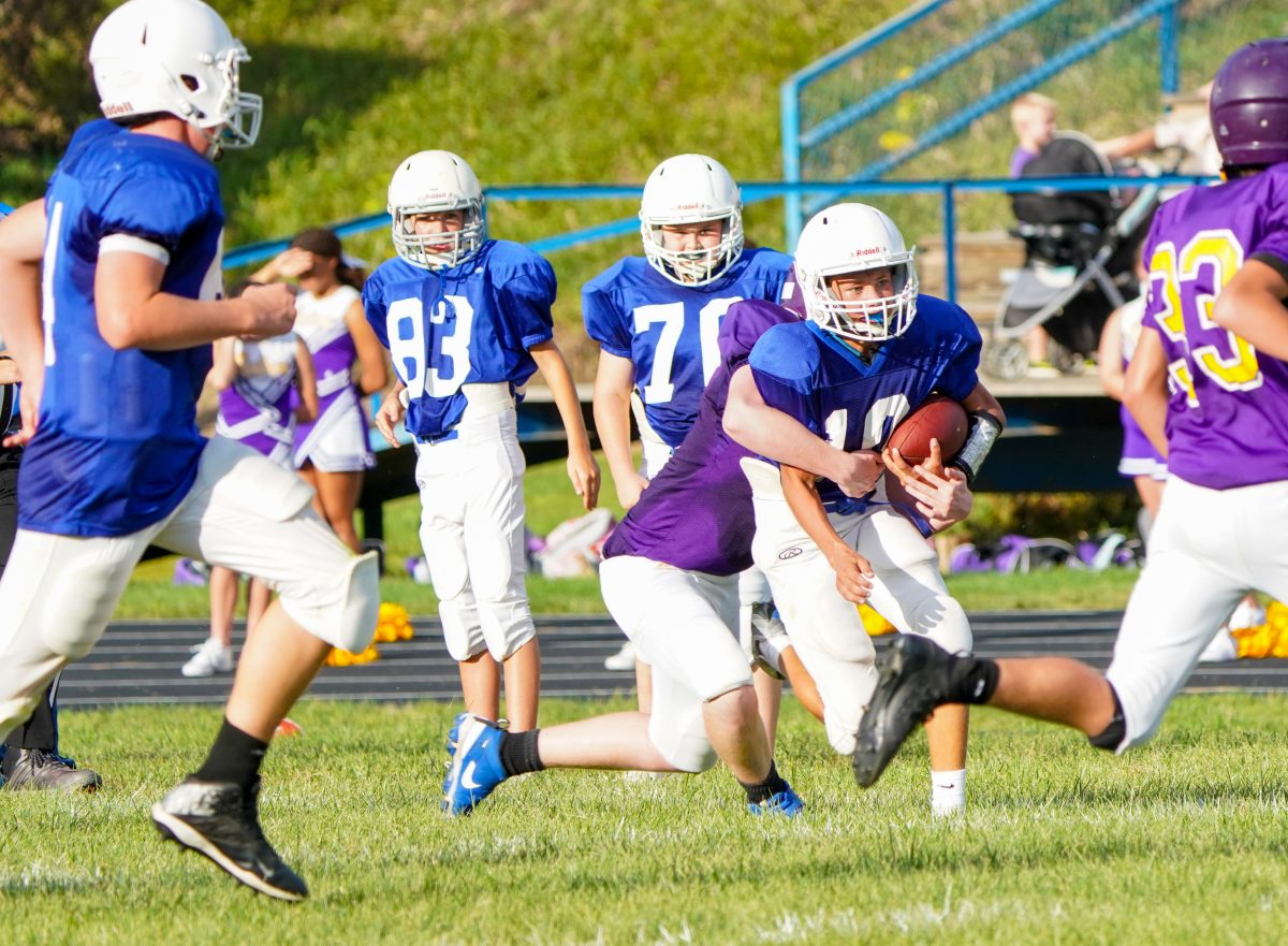 Blue Jays defeat Panthers - Farmer Publishing