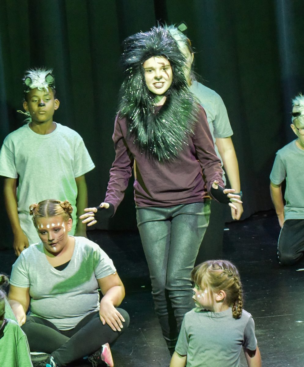 Young actors and actresses present Disney’s The Lion King Jr. - Farmer ...