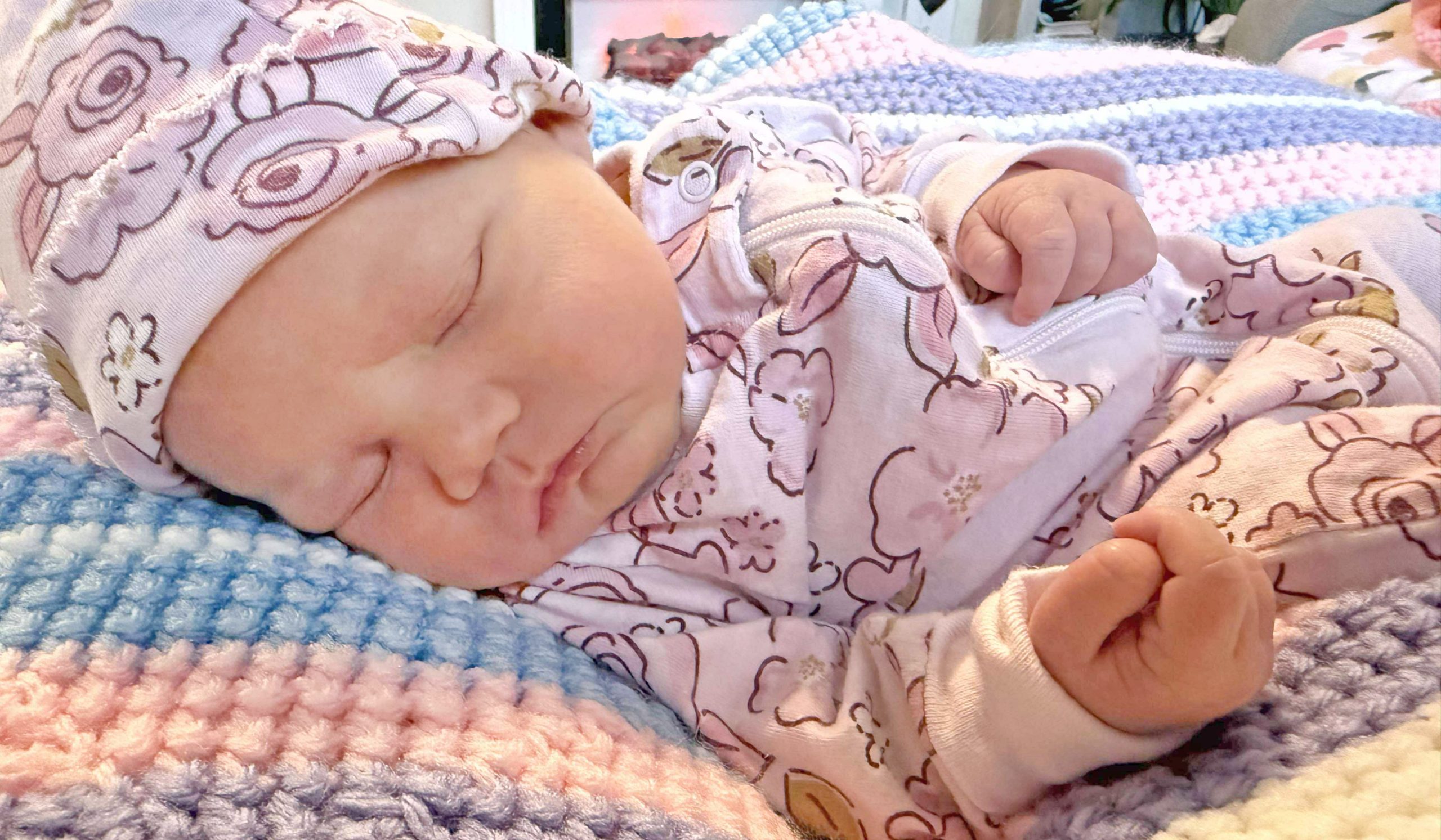 New Arrivals - Farmer Publishing